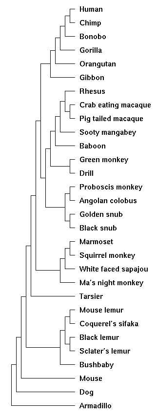 UCSC 30 Primates Track Settings